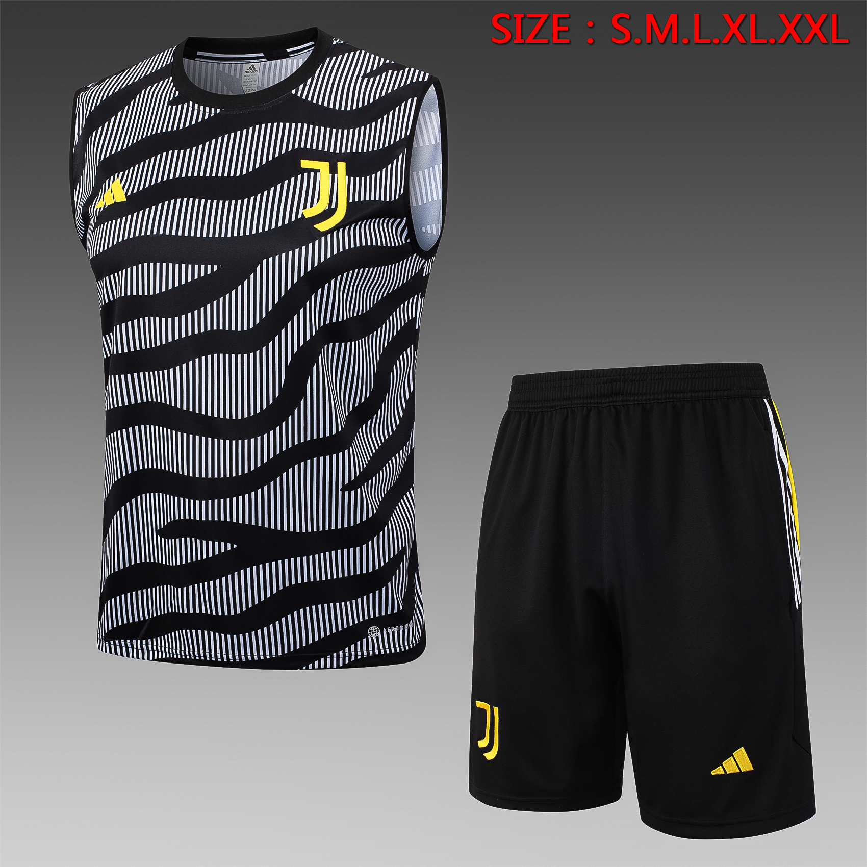 Tracksuit - JUV / 2023-24 / short sleeve / zebra stripe