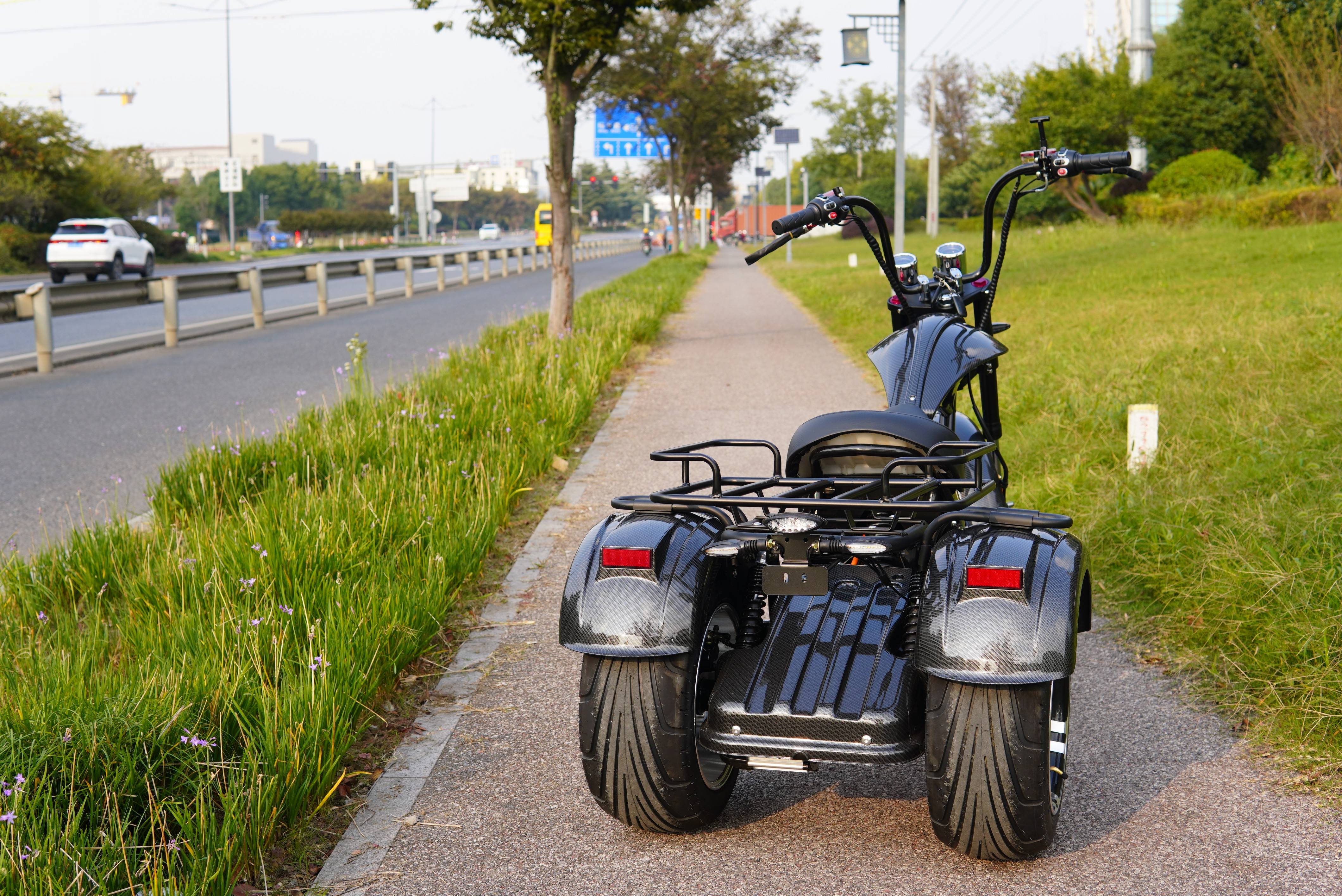 New Model 3 Wheel Electric Tricycle Citycoco Scooter Chopper Three ...