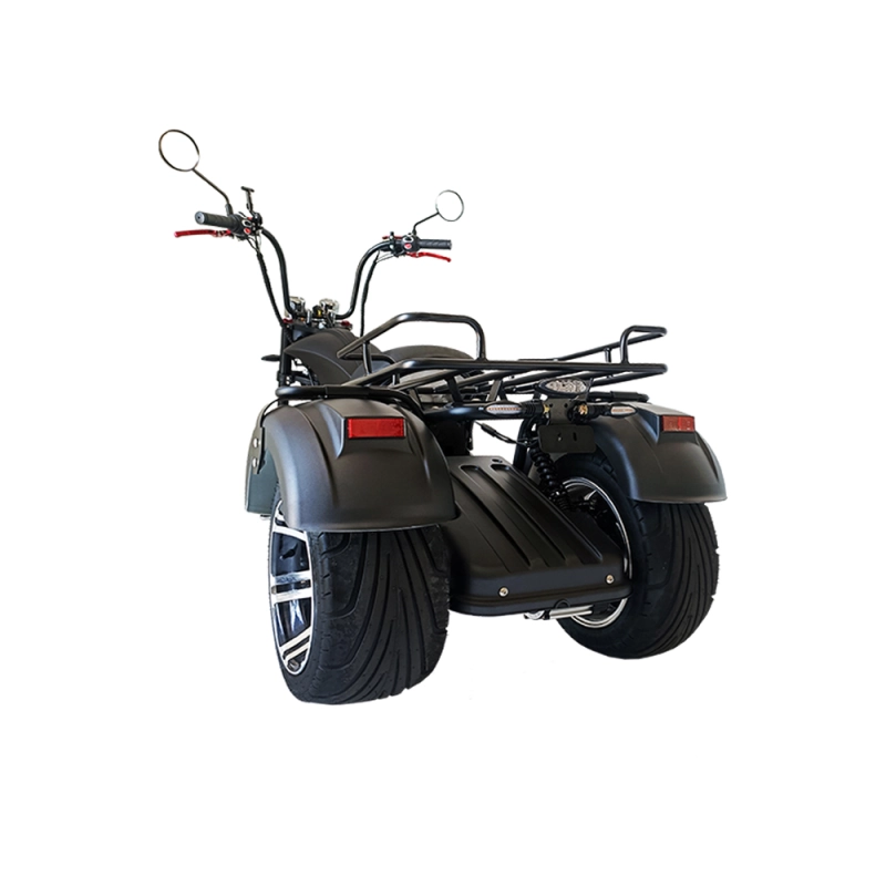 New Model 3 Wheel Electric Tricycle Citycoco Scooter Chopper Three ...
