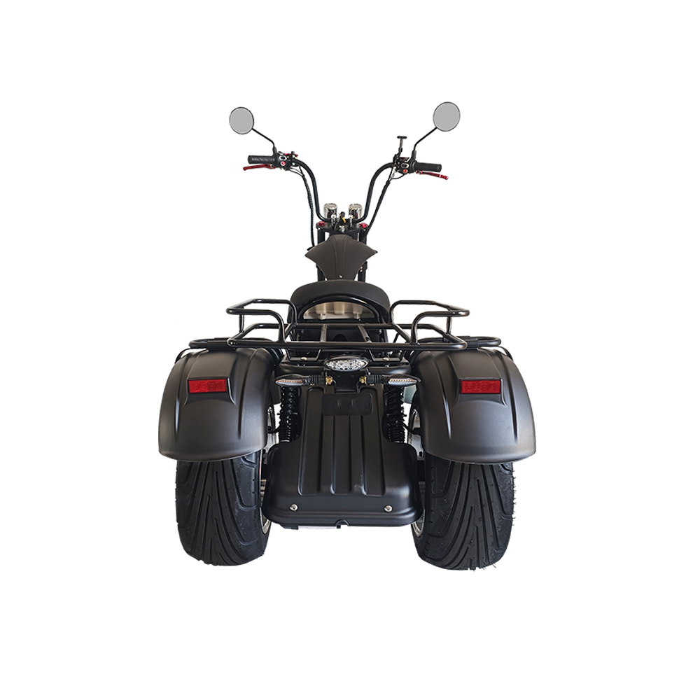 New Model 3 Wheel Electric Tricycle Citycoco Scooter Chopper Three ...