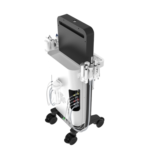 HydraMaster,Hydradermabrasion Facial