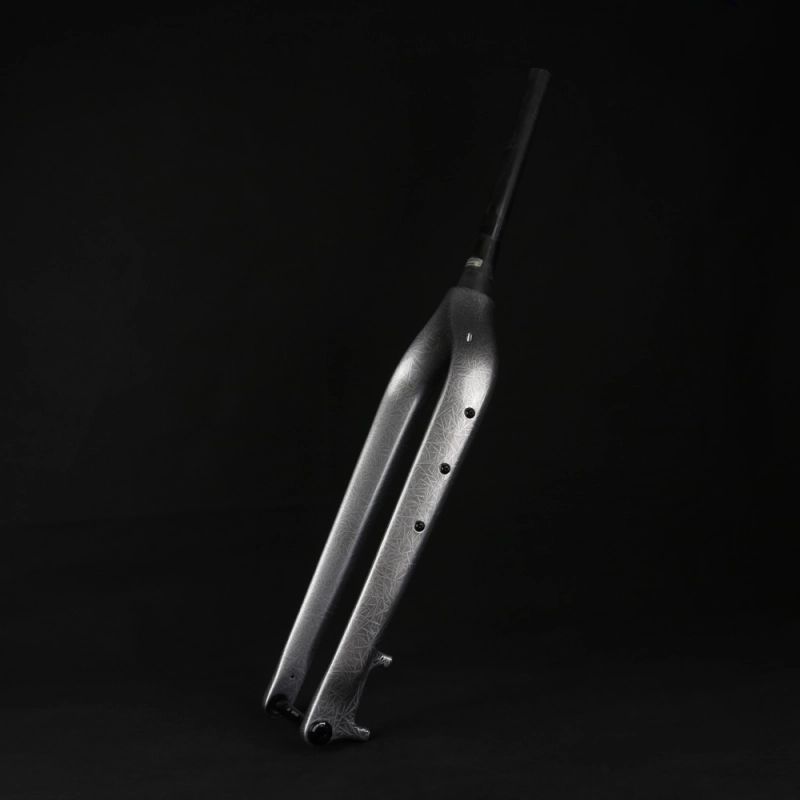 PLUS29 29er Boost Rigid Carbon Fork