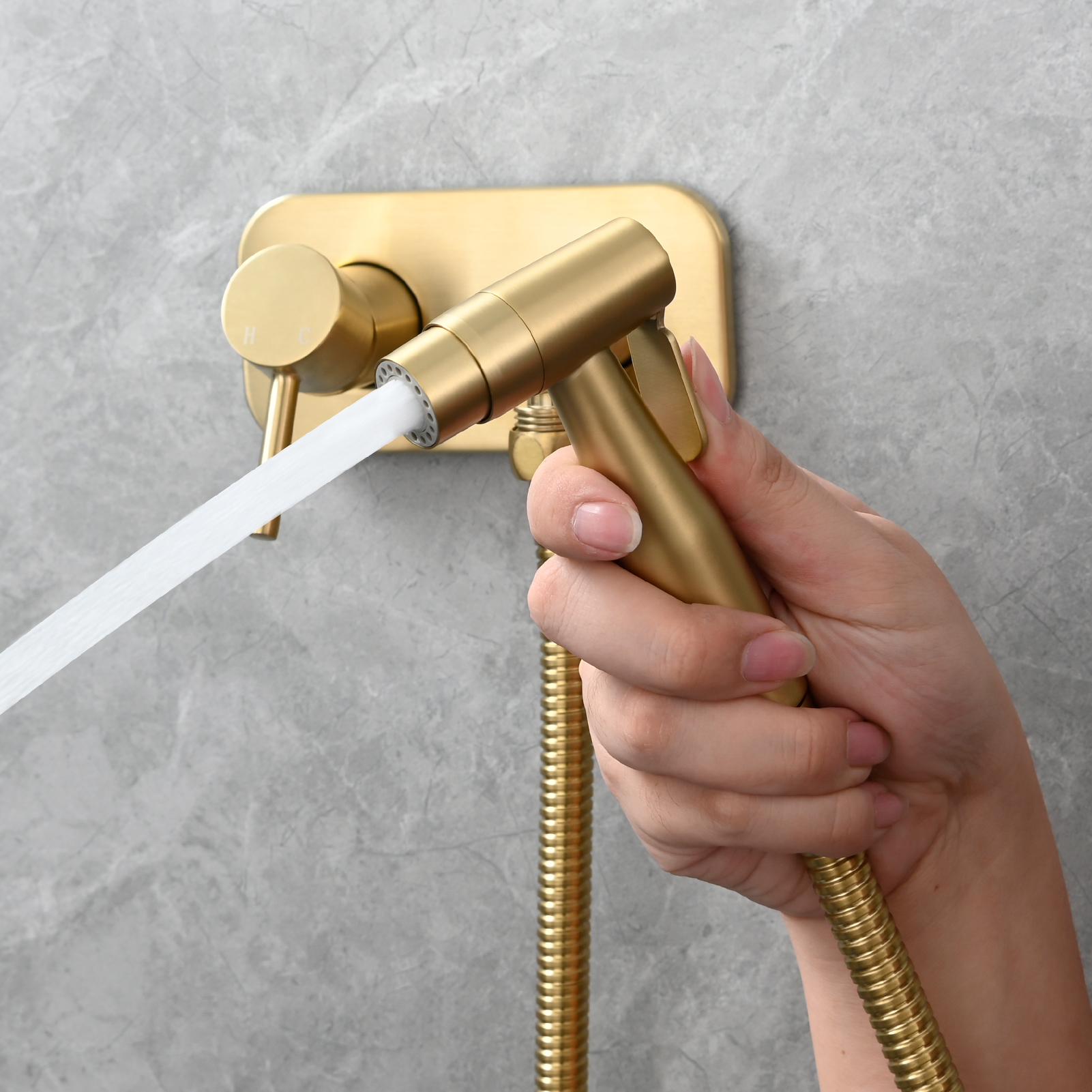 Tecmolog Stainless Steel Bathroom Bidet Sprayer Set, Hot and Cold ...