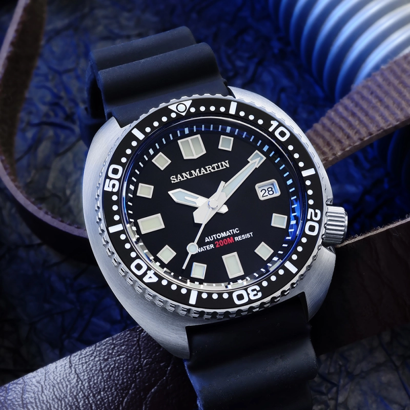 San Martin Turtle - SN0057-G