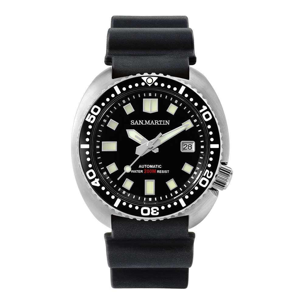 San Martin Turtle - SN0057-G