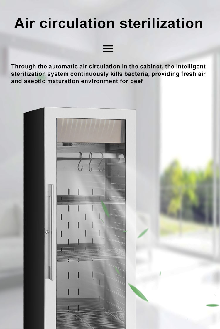 Commercial Dry Age Fridge,Dry Aging Refrigerator