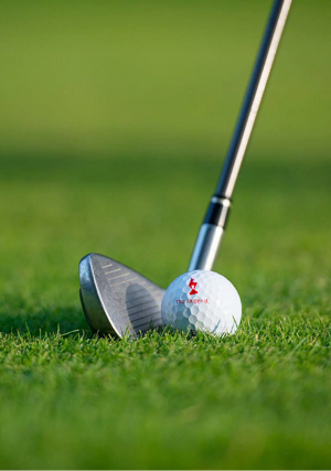 QT MAT - Professional Mat Supplier