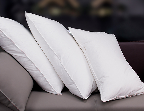 1 Totally free capable Room collateral design service . 2 Technical ...