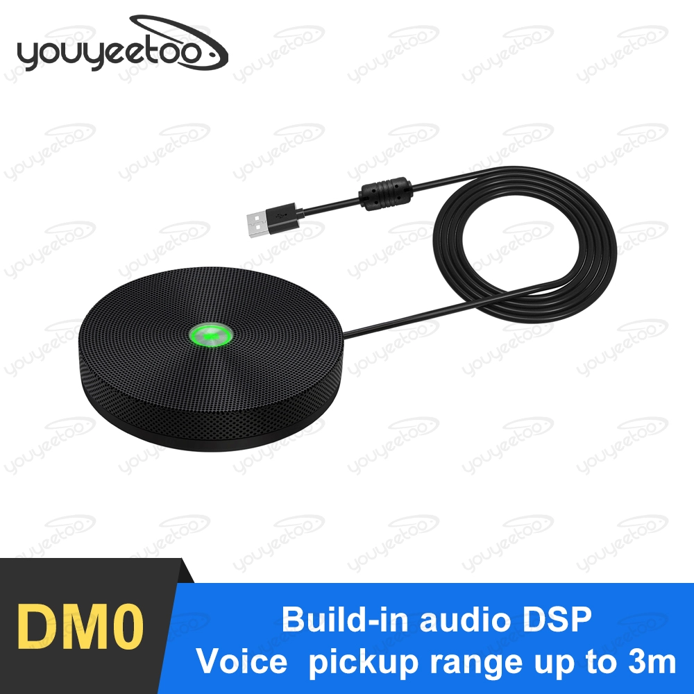 computer microphone function