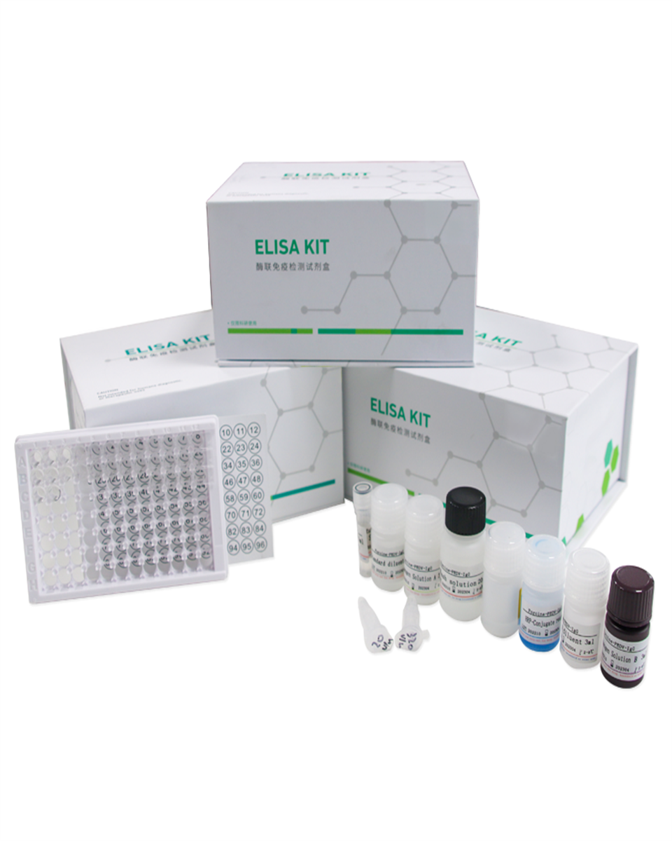Bovine CD46(Membrane cofactor protein) ELISA Kit,Bovine ELISA Kit