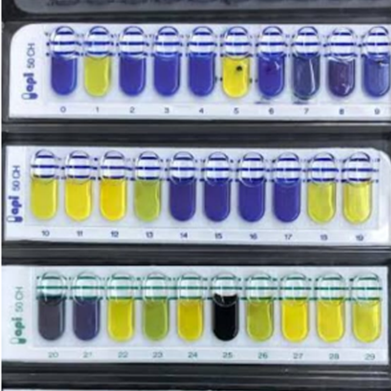 API Staph Identification reagent strip