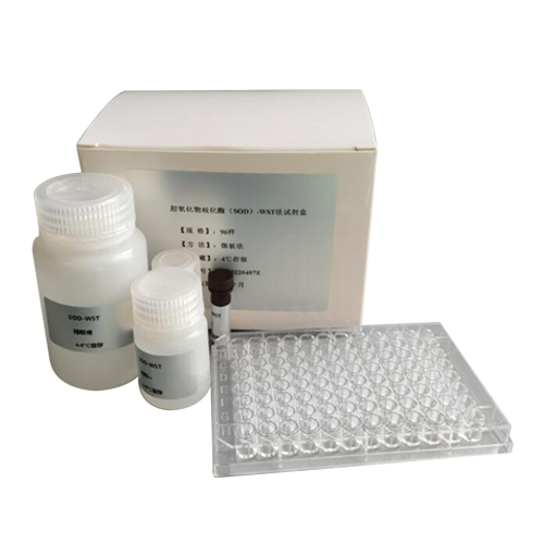 α-amylase Assay Kit (Micromethod /48 samples)