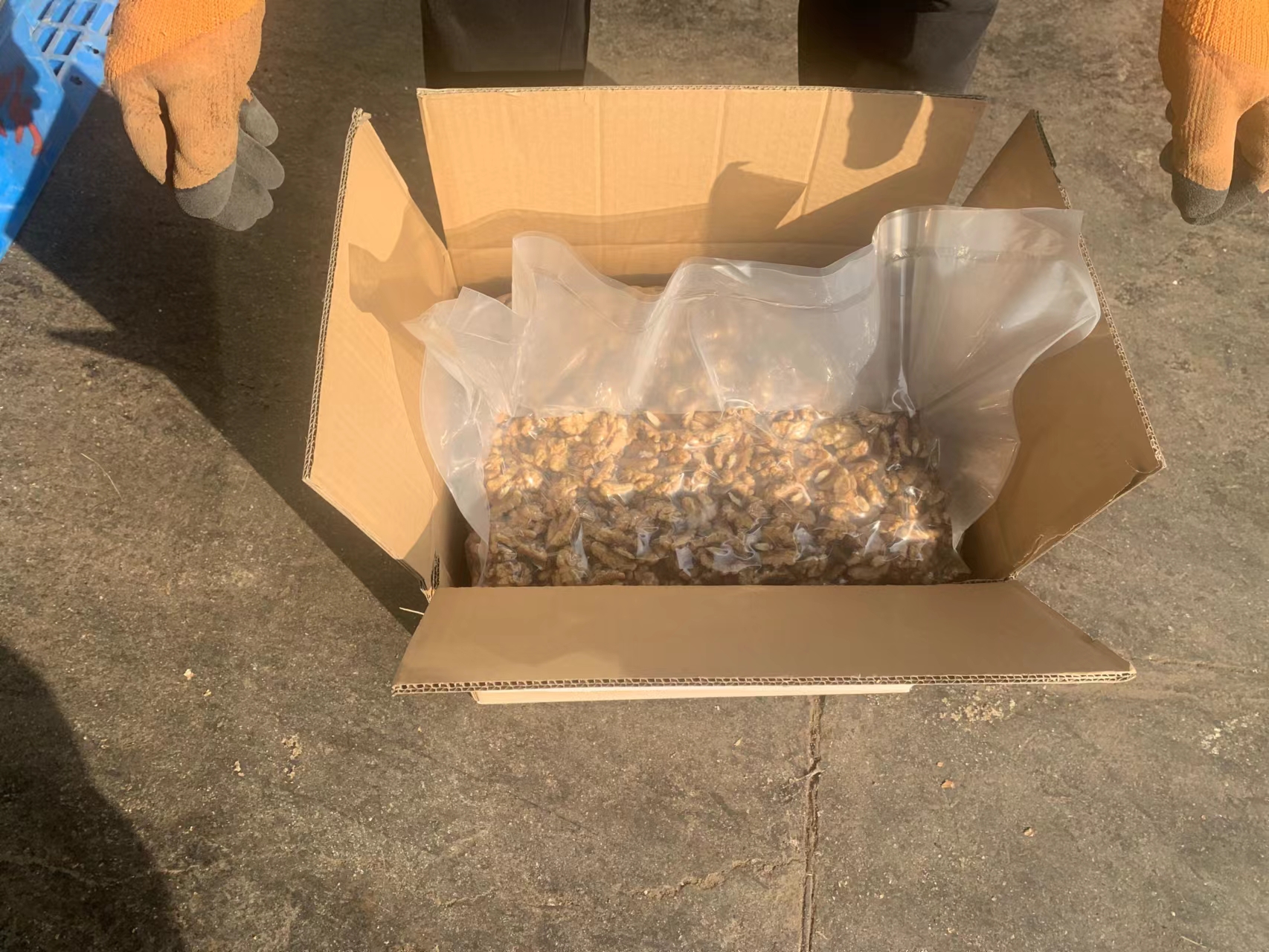 Walnut kernel ELH 90% Yunnan Type,Walnut Kernel Halves