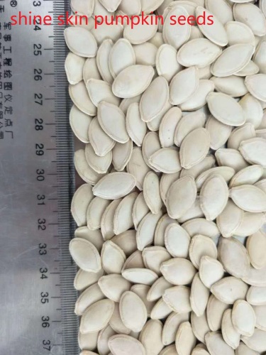 Shine Skin pumpkin seeds,Shine Skin Pumpkin seeds & Kernel