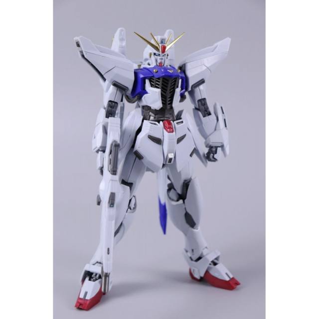 DABAN 1/100 MB ver F91 8821 Model Kit