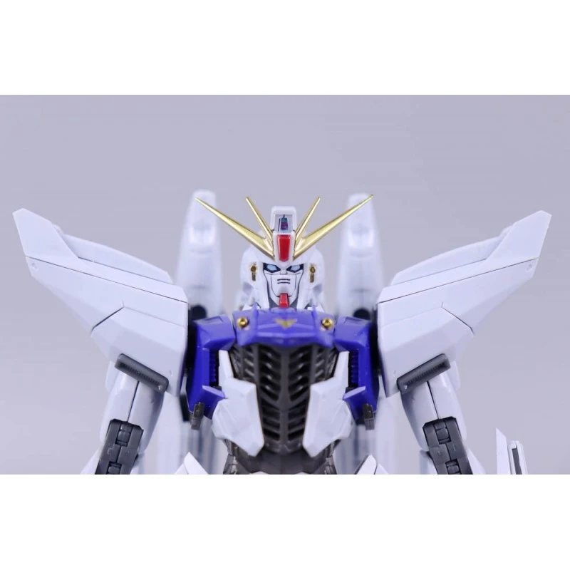 DABAN 1/100 MB ver F91 8821 Model Kit
