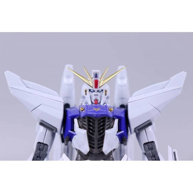 DABAN 1/100 MB ver F91 8821 Model Kit