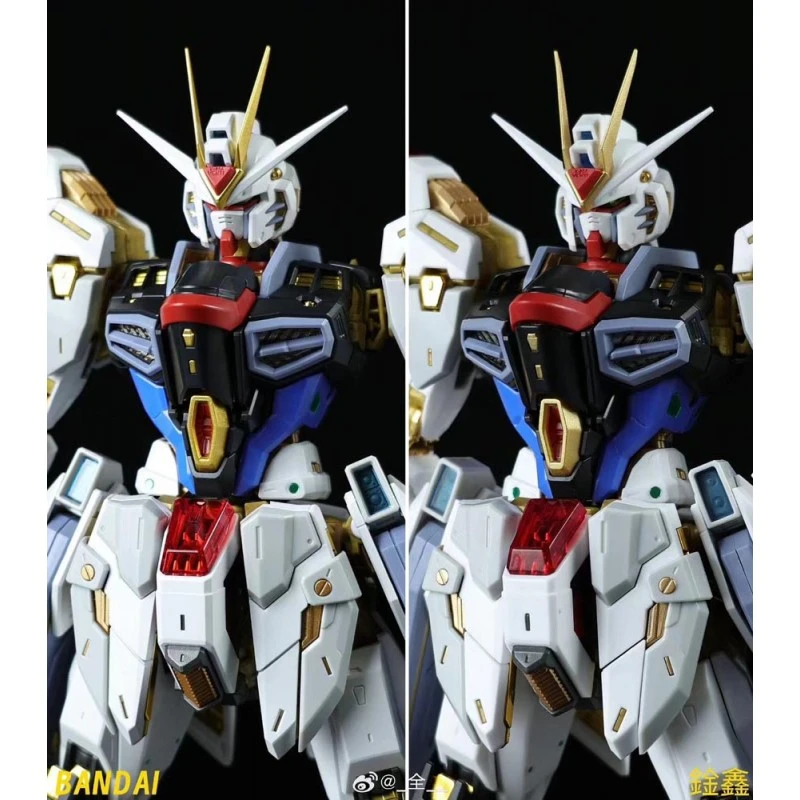 GUNDAM CENTRAL PIANXIN 1/100 MG EX STRIKE FREEDOM MODEL KIT