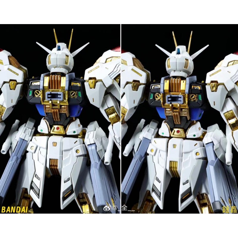 GUNDAM CENTRAL PIANXIN 1/100 MG EX STRIKE FREEDOM MODEL KIT