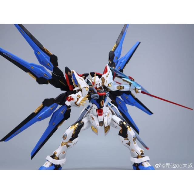 GUNDAM CENTRAL PIANXIN 1/100 MG EX STRIKE FREEDOM MODEL KIT