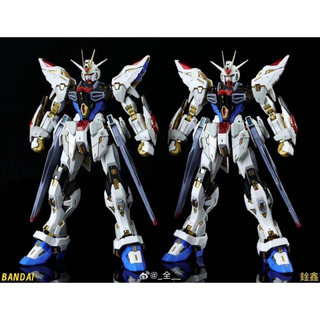 GUNDAM CENTRAL PIANXIN 1/100 MG EX STRIKE FREEDOM MODEL KIT