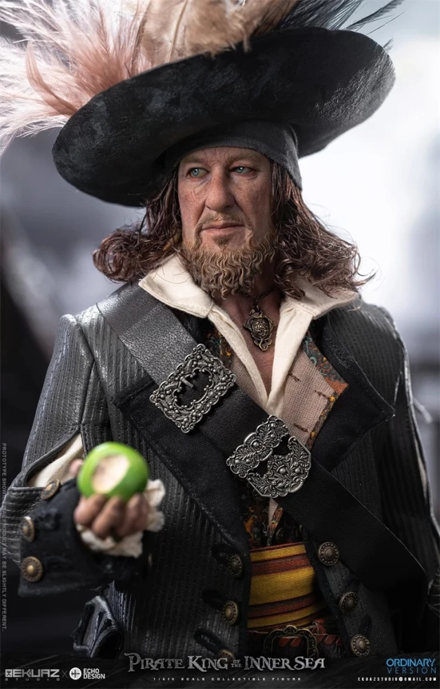 pirates of the caribbean barbossa king