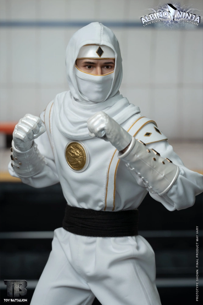 IN STOCK TOYS BATTALION TB011 1/6 White Tiger Ninja White Ninja Action ...