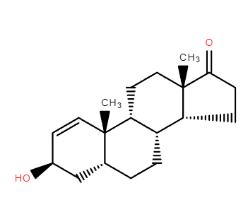An In-Depth Analysis of 1-DHEA 1-Androsterone CAS: 23633-63-8 Unveiling ...