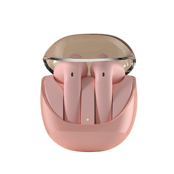Transparent TWS Earbuds,TWS EARBUDS