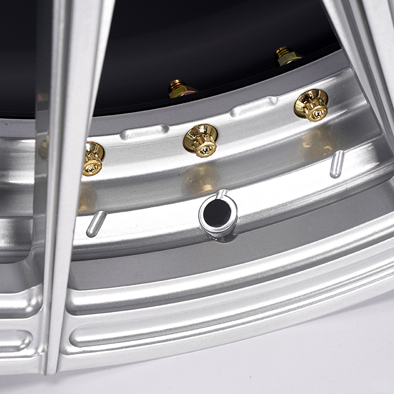 LSGZL Elite Forged Wheels | High-Strength, Lightweight 2-Piece Rims