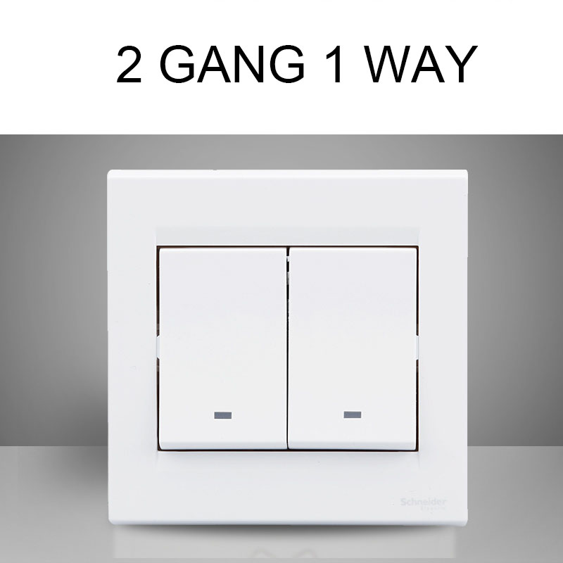 Schneider Adora two gang one way switch,Switch Socket