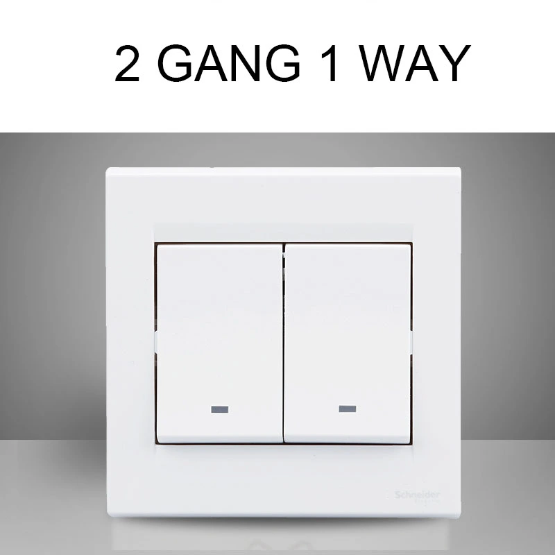 Schneider Adora two gang one way switch,Switch Socket
