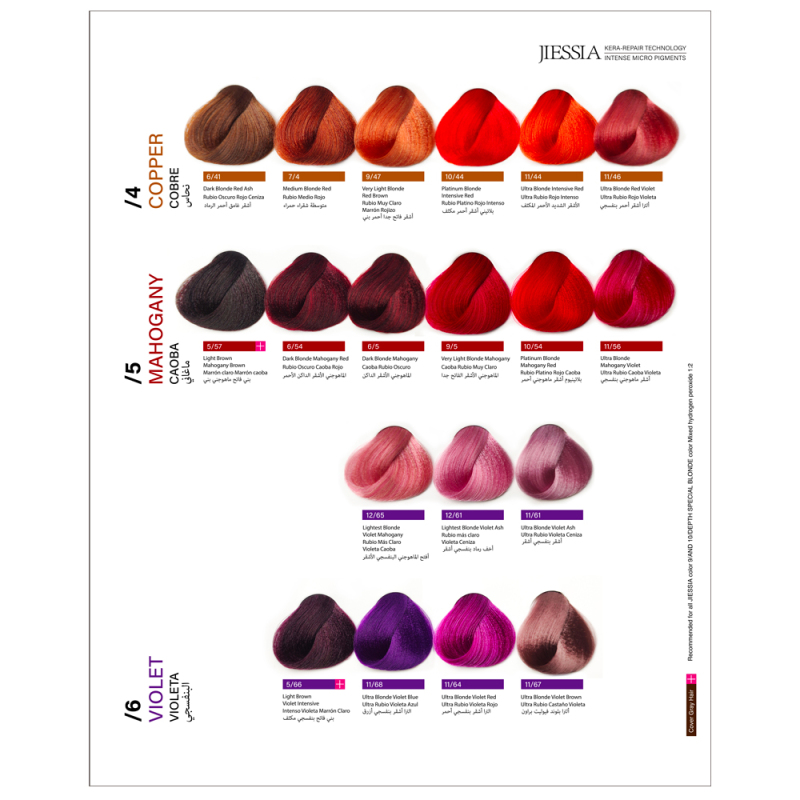 Jiessia 67 color hair color chart