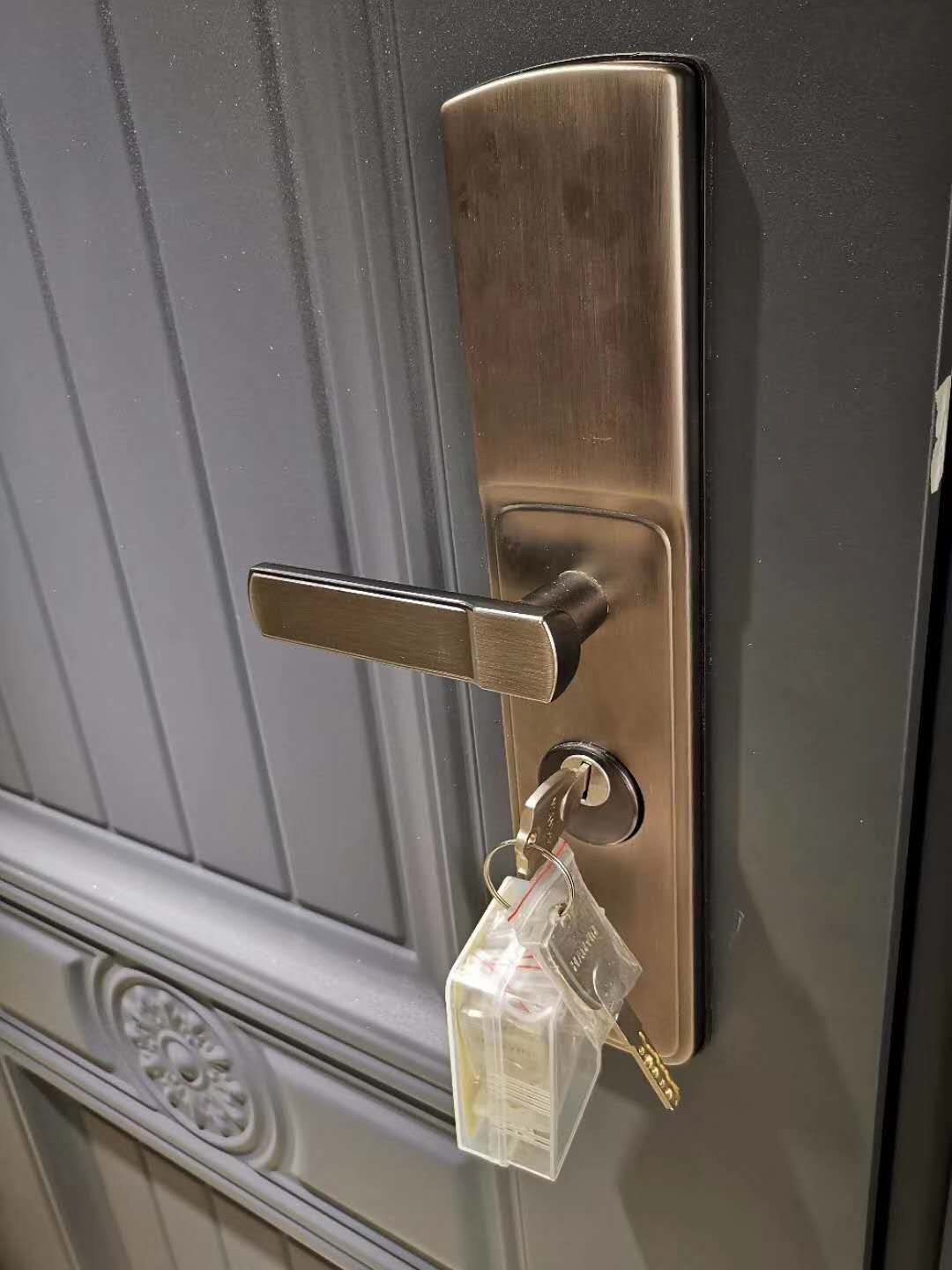 front entry door for modern villa house with smart lock,steel door