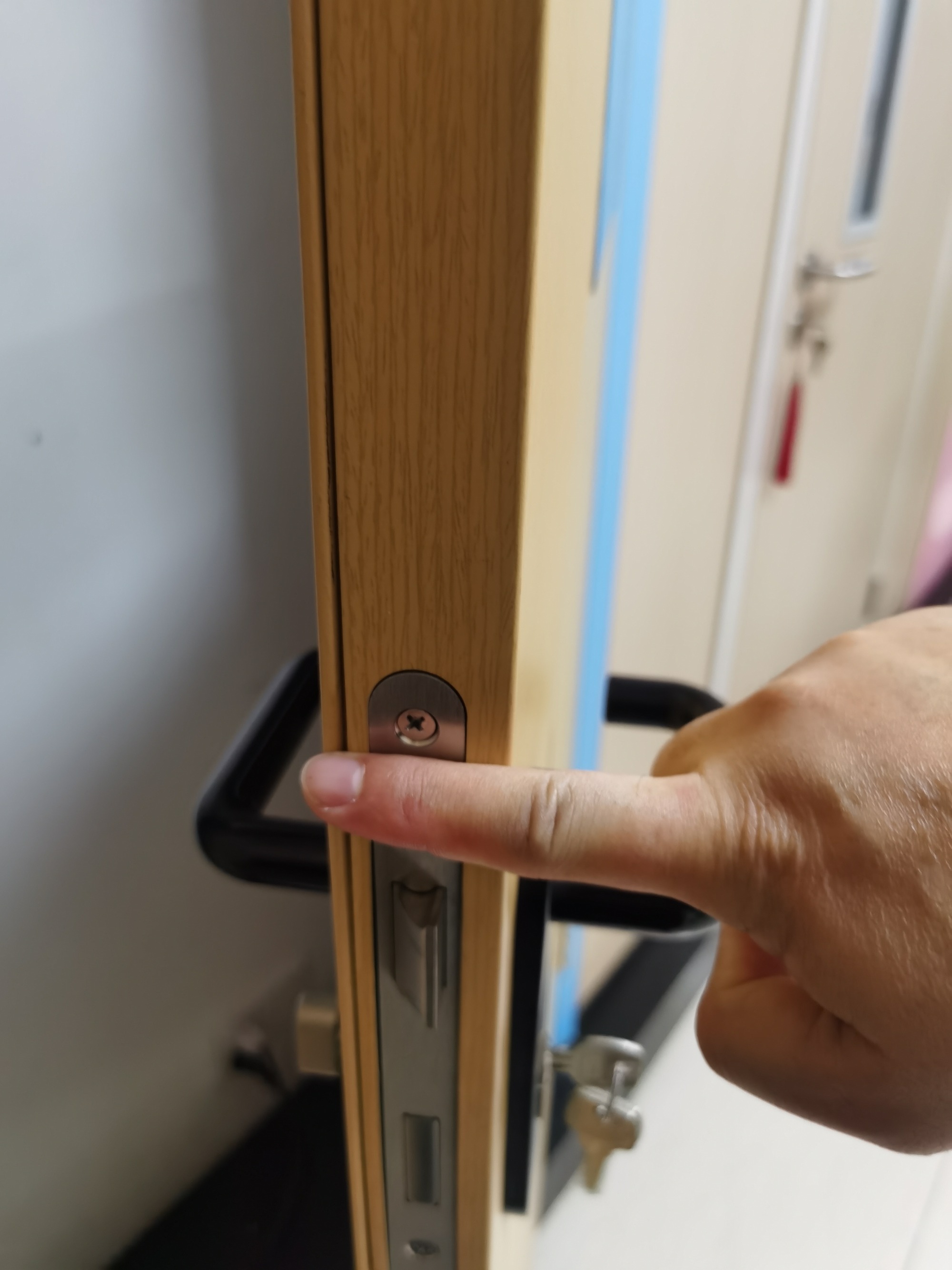 Customized GMP Pharmaceutical Clean Room Metal Door,Hospital door