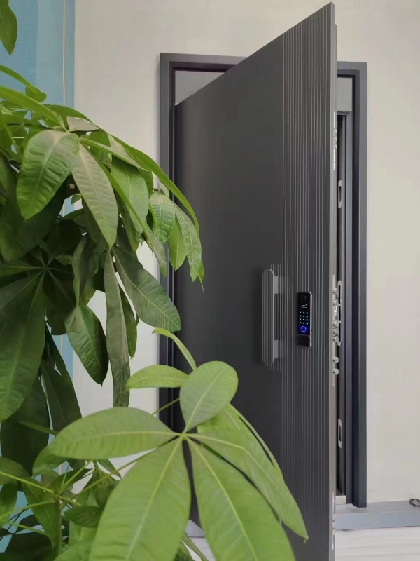 Hot Sale Custom Exterior Main Security Door Design Safety Metal Steel ...