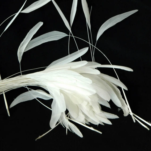 white coque feathers