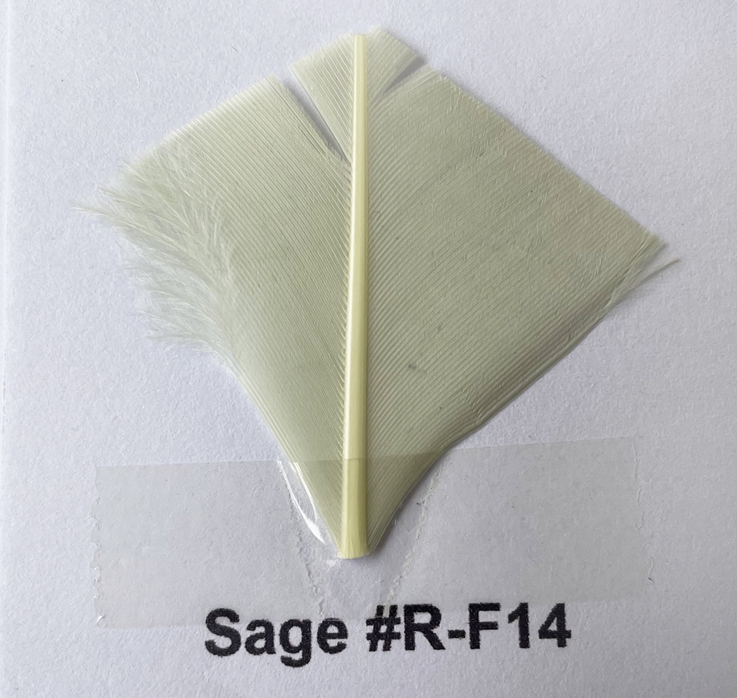 RL-OQT Ostrich Quills One Piece