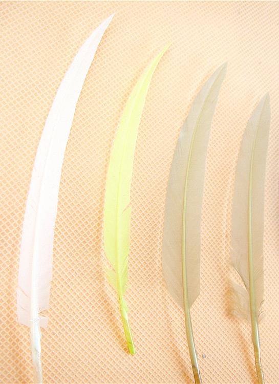 RL-NG Loose Goose Feathers 4/6 25pcs/Packet