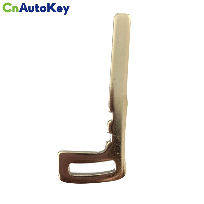 CS002059 BIade For Benz