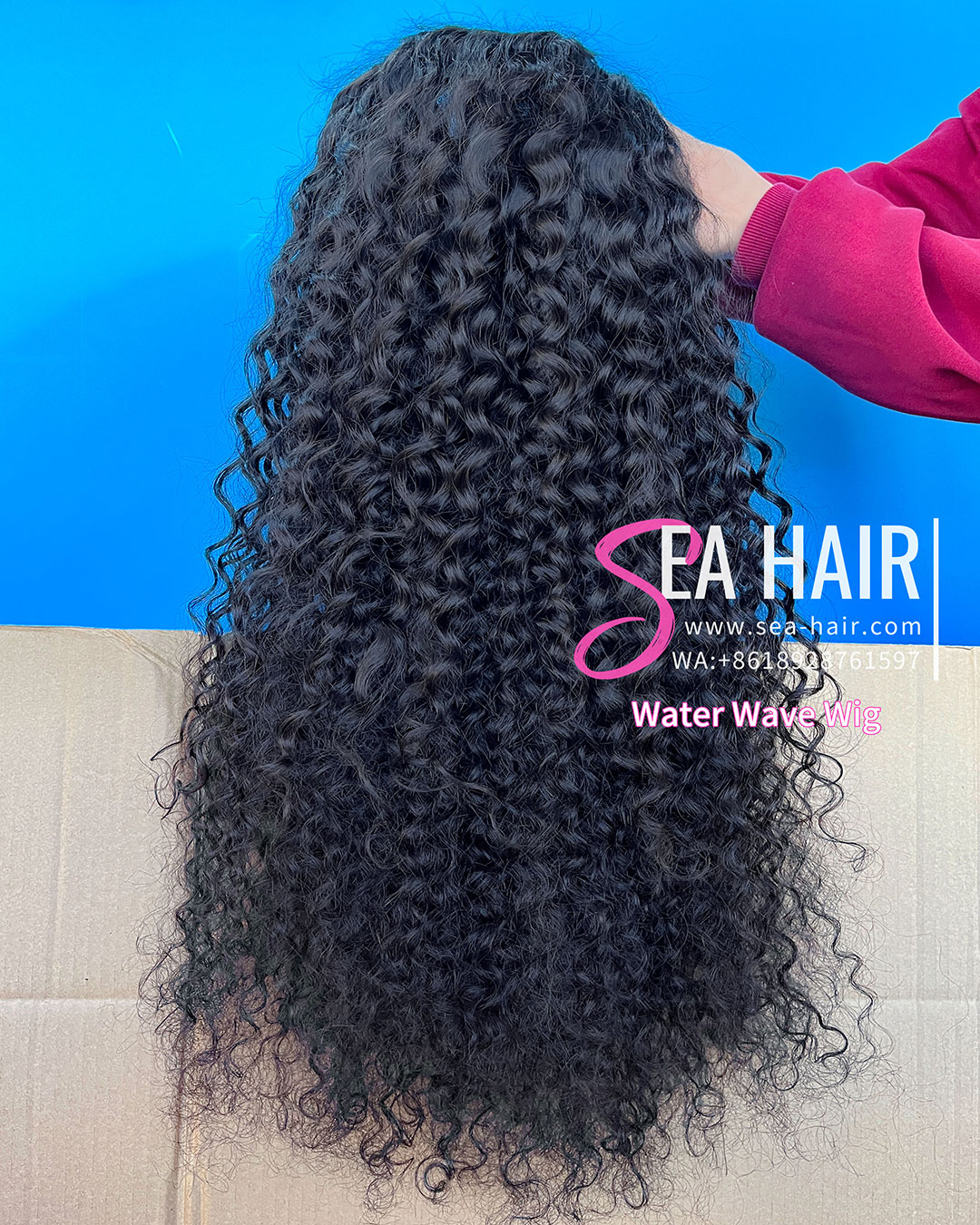 Water Wave 5x5/13x4/13x6 HD And Transparent Pre-made Lace Wigs SEA Hair