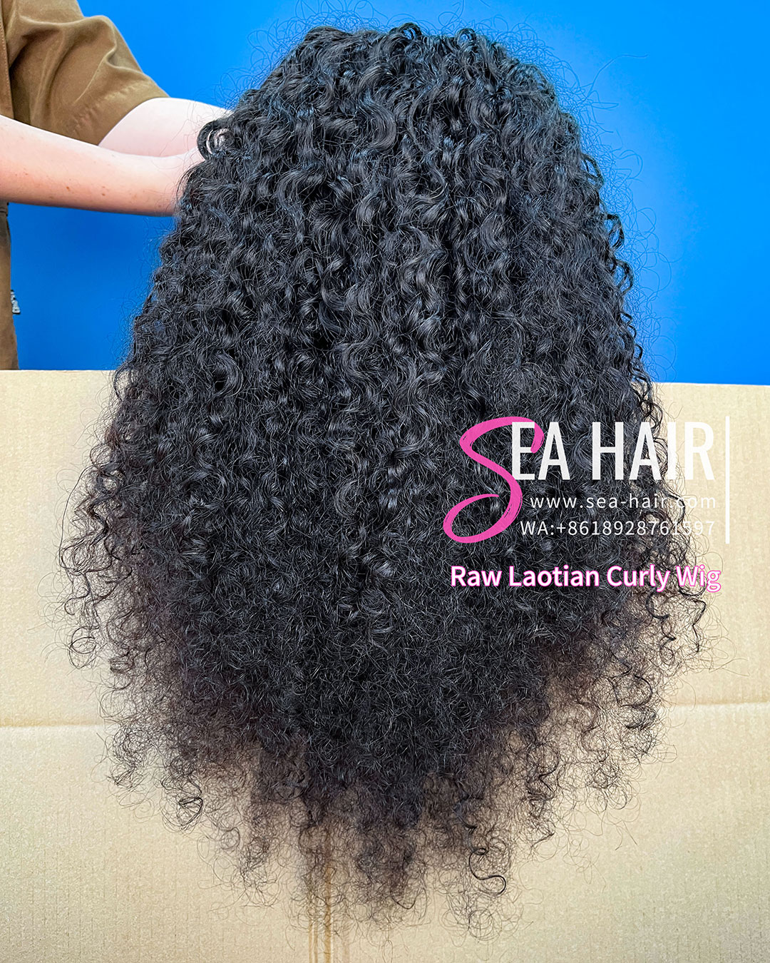 Sea Hair Raw Southeast Asian Straight Hair U Part Wig