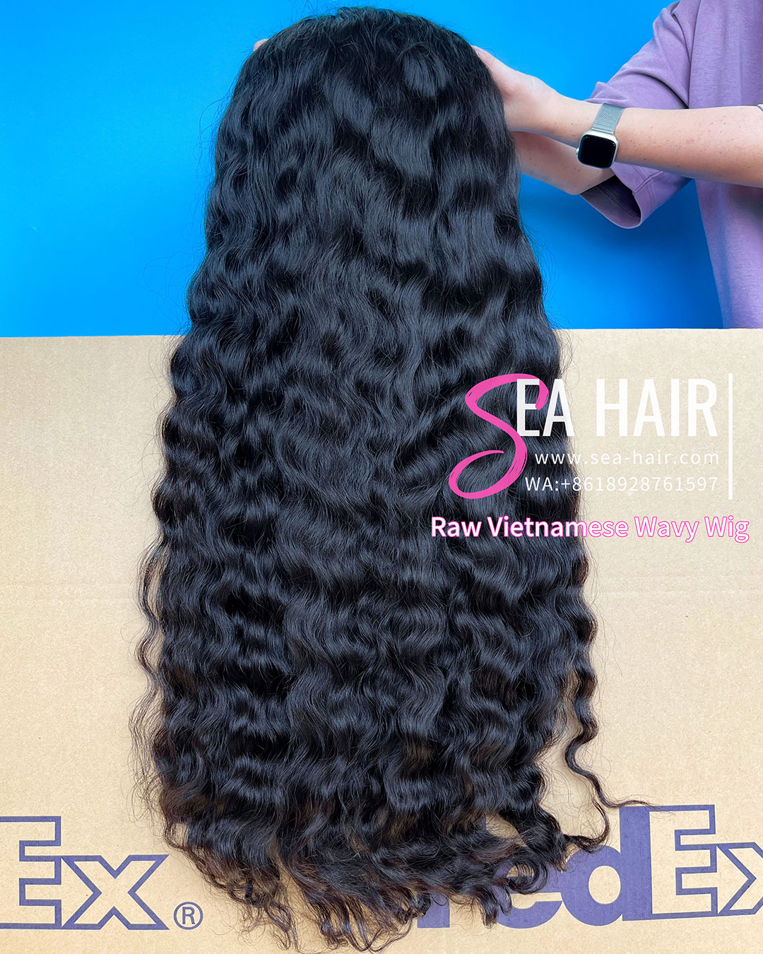 Southeast Asian Vietnamese Wavy SEA Hair 4x4/5x5/6x6/13x4/13x6 HD And ...