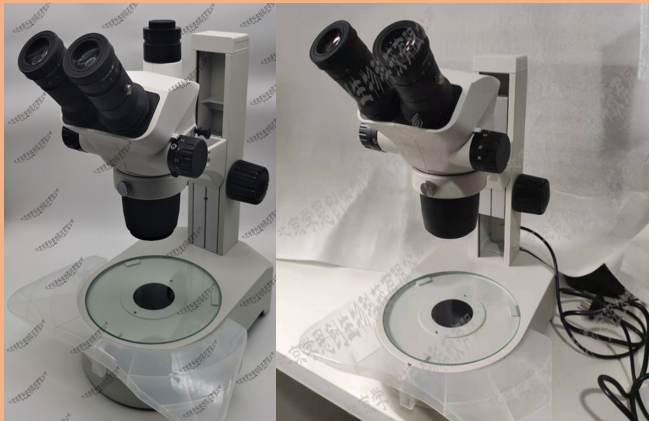 Stereo Microscope for Worm