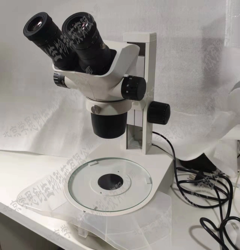 Stereo Microscope for Worm