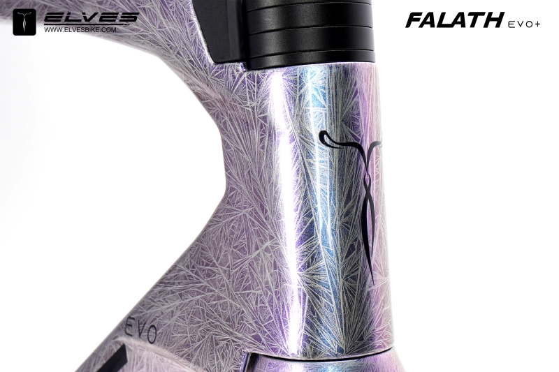 Special paint customization fee