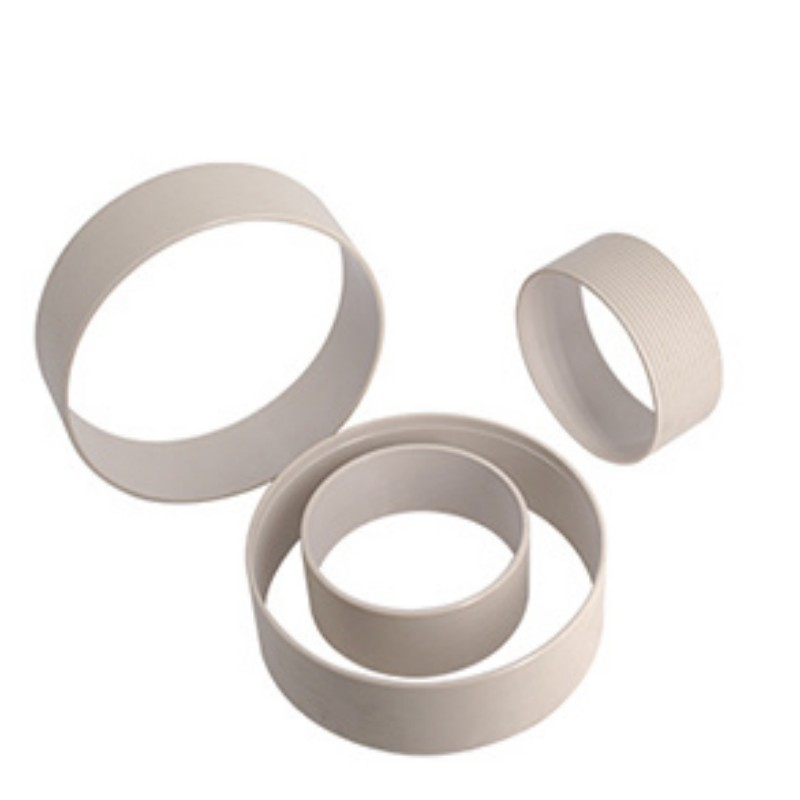PEEK sealing ring,Special Engineering Plastics