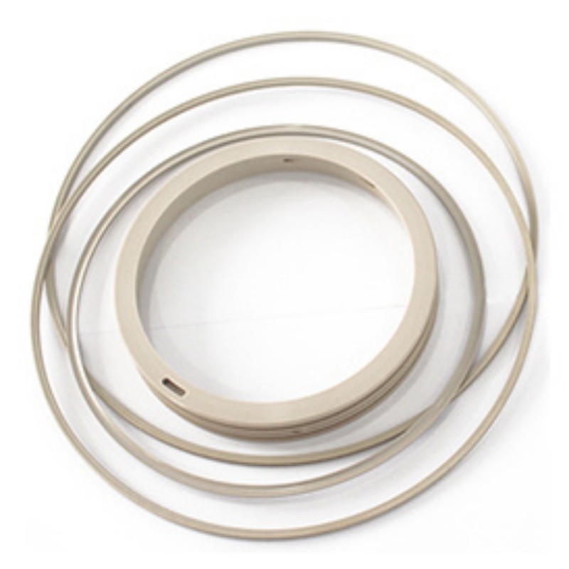 PEEK sealing ring,Special Engineering Plastics