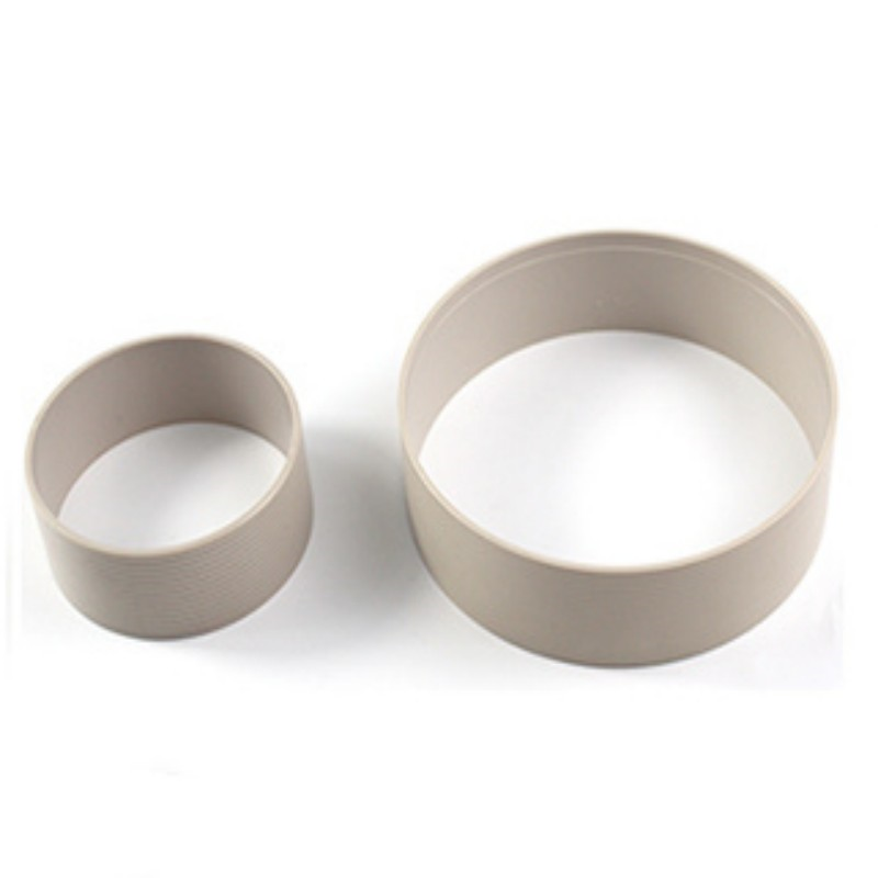 PEEK sealing ring,Special Engineering Plastics