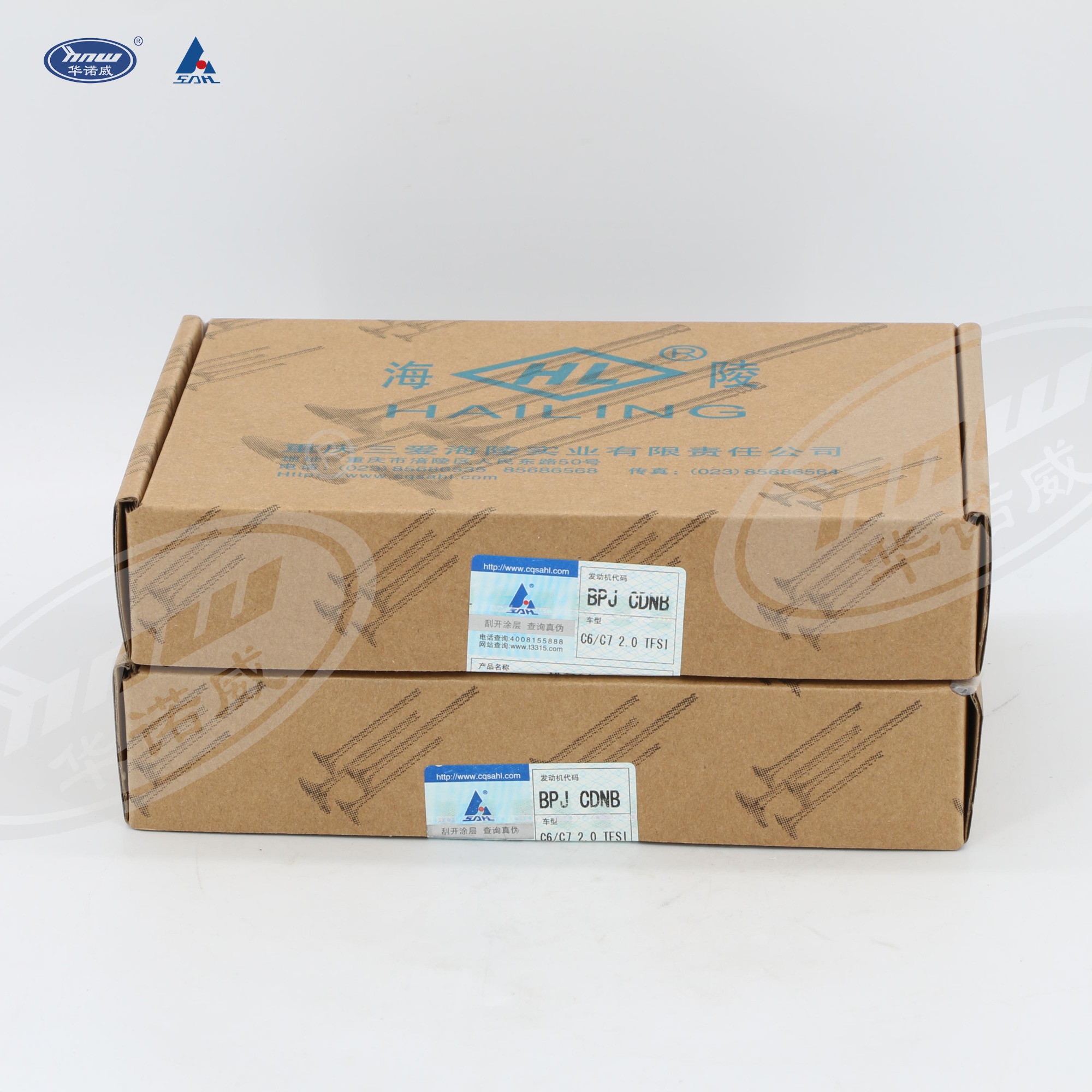 Audi 06D109601M611H Intake and Exhaust Valves